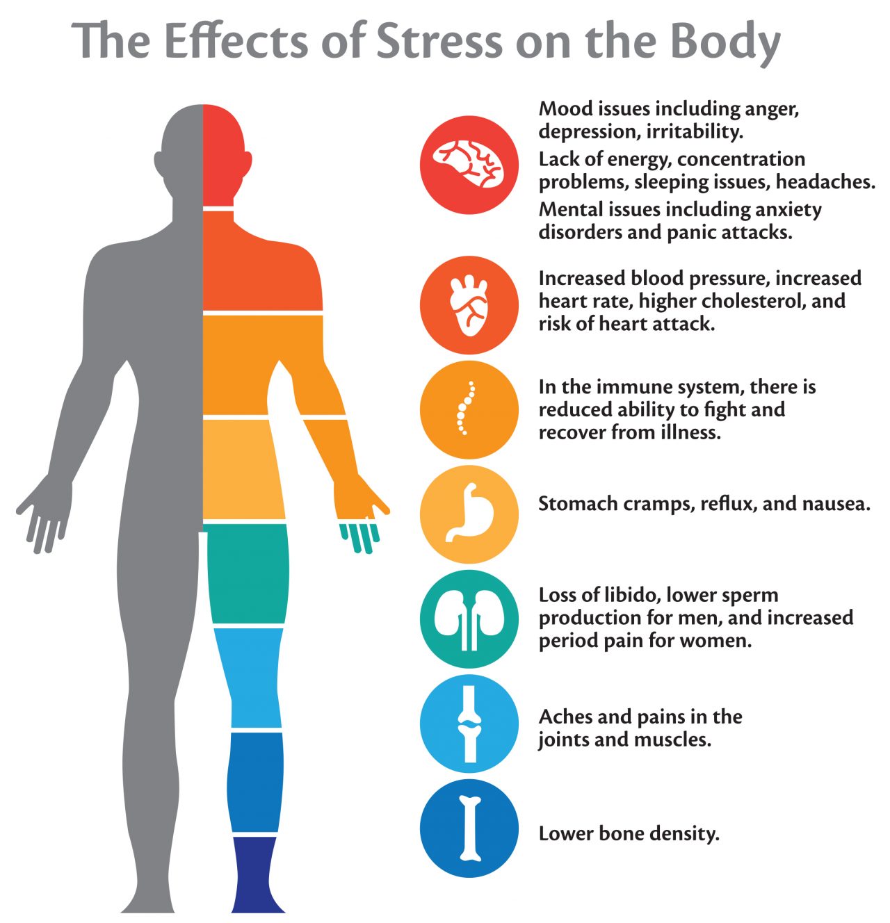 IMMUNITY LESSON 23- The Human Cost of Stress - MyRelaxer